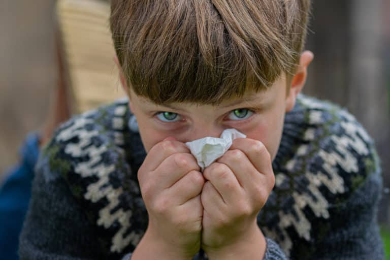 Wool Yarn, Top 5 things you should know about it | Lyns Crafts